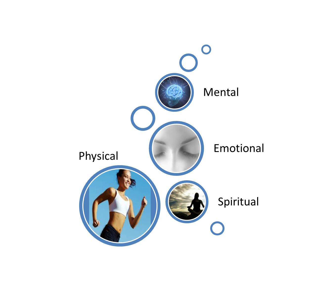 High Energy High Performance - Oak Consult