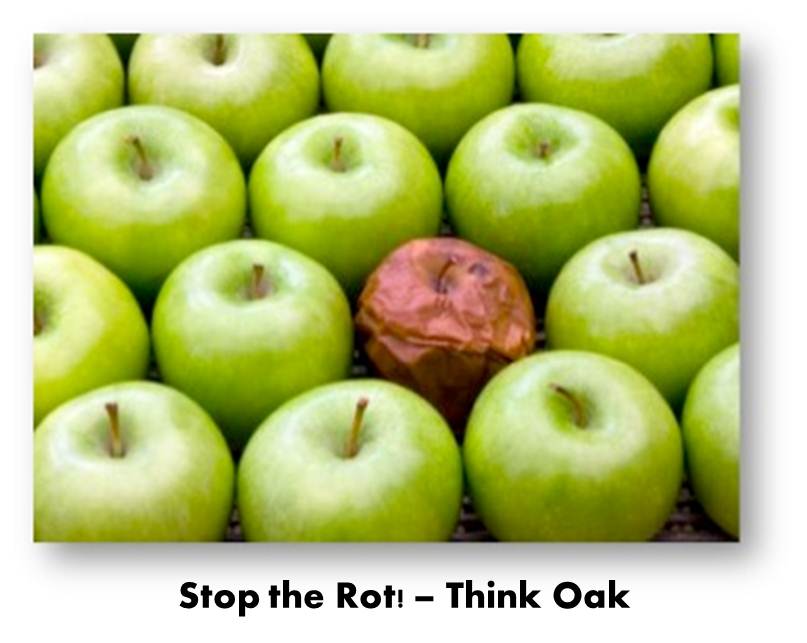 Stop the Rot – Managing Poor Performance ~ Part 1 - Oak Consult
